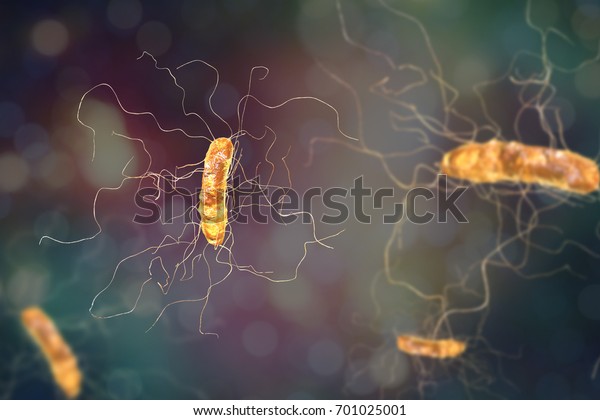 Clostridium Difficile Bacterium 3d Illustration Bacteria Stock ...