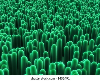 107 Coccoide Bilder, Stockfotos und Vektorgrafiken | Shutterstock