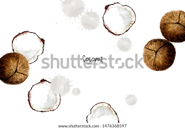 Coconut Background Banner Botanical Coconut Pattern 库存插图 1476368597 ...