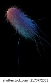544 Coliform bacteria Images, Stock Photos & Vectors | Shutterstock