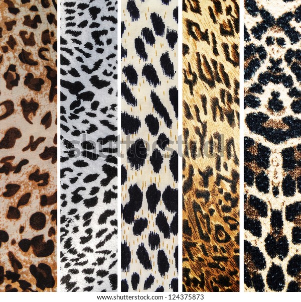 Collage Leopard Textures Stock Illustration 124375873 | Shutterstock