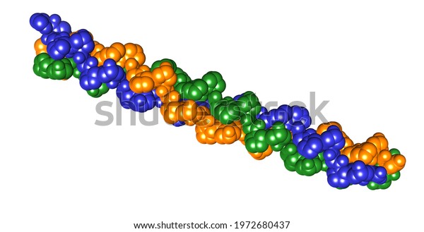 4,109 Gel Structure Images, Stock Photos & Vectors | Shutterstock