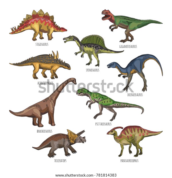 Ilustración de stock sobre Ilustraciones en color de diferentes tipos ...