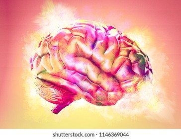 130 Brains blown out Images, Stock Photos & Vectors | Shutterstock