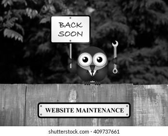 God Created Mankind Bird Asking Why 스톡 일러스트 409400824 | Shutterstock