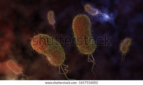 Common Pathogenic Bacteria Types Bacterial Diseases Stock Illustration ...