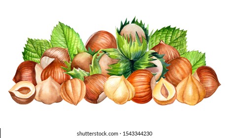 Watercolor Hazelnut Set Drawn Nuts On Stock Illustration 1543341869 ...