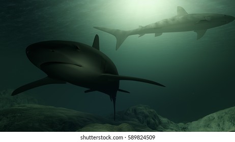 121 Shark swim animation Images, Stock Photos & Vectors | Shutterstock