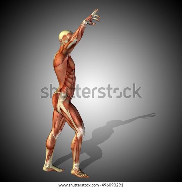 Concept Strong Human Man 3d Illustration Stock Illustration 496090291