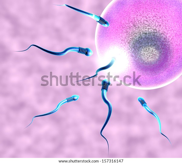 Conception Ovule Sperm Viewed Under Microscope stockillustratie 157316147