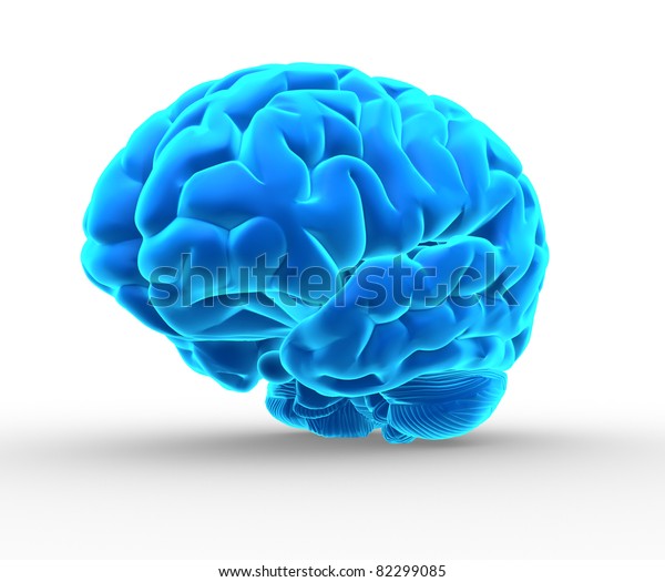 Conceptual Image Blue Brain Over White Stock Illustration 82299085