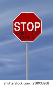 Modified Stop Sign Indicating Dont Stop Stock Illustration 318875414 ...