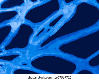 Connecting Lines Network Swirled Pattern Anatomy Stock Illustration ...