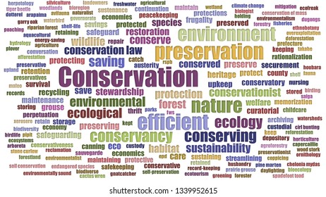 Conservation Word Cloud Rows On White Stock Illustration 1339952615 ...