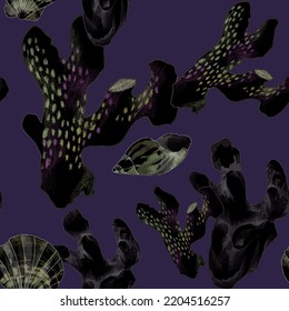 Corals Shells Pencil Drawing Black On Stock Illustration 2204516257 ...