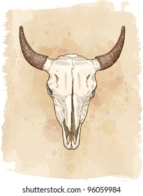 Cow Ckull Vector Sketch Bitmap Copy Stock Illustration 96059984 ...