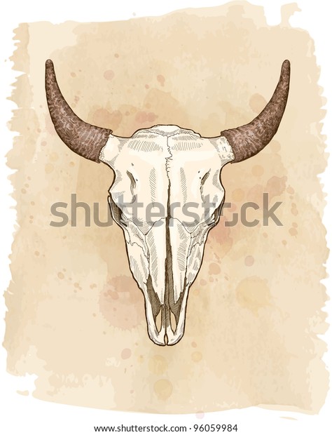 Cow Ckull Vector Sketch Bitmap Copy Stock Illustration 96059984
