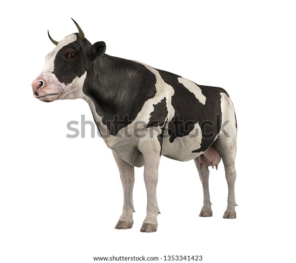 Cow Isolated 3d Rendering Stock Illustration 1353341423 | Shutterstock
