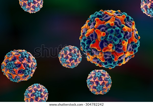 Coxsackievirus A24 Model Built Using Data Stock Illustration 304782242 ...
