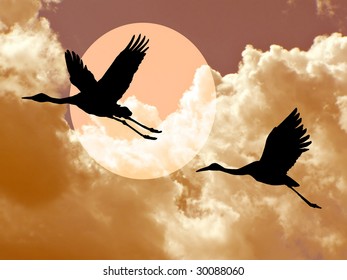 49 Sandhill Crane Cartoon Images, Stock Photos & Vectors | Shutterstock