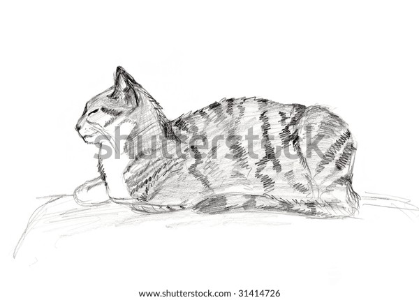 Crayon Drawing Snoozing Cat Stock Illustration 31414726 | Shutterstock
