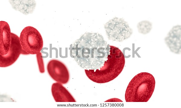 Creative 3d Render Blood Cells Background Stock Illustration 1257380008 ...