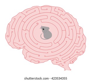 2,366 Mouse brain Images, Stock Photos & Vectors | Shutterstock