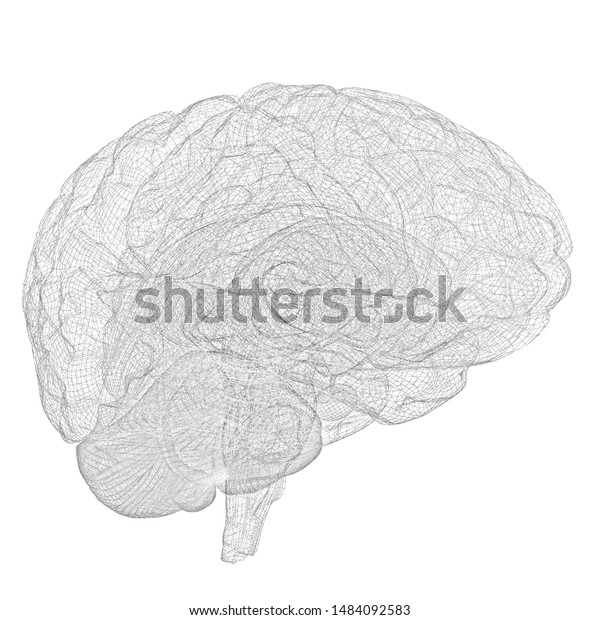 Creative Concept Human Brain Pencil Drawing Stock Illustration ...