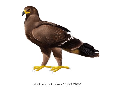 Garudan Images, Stock Photos & Vectors | Shutterstock