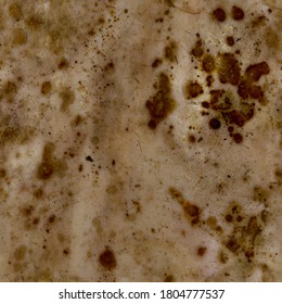 Creature Skin Albedo Map Diffuse Map Stock Illustration 1804777537 ...
