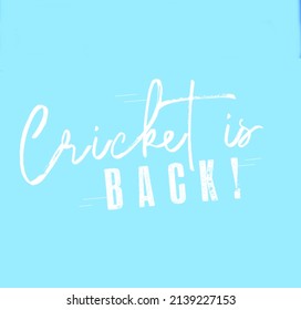 169 Font Style Cricket Images, Stock Photos & Vectors | Shutterstock