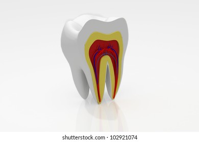 1,246 imágenes de Mouth cross section - Imágenes, fotos y vectores de ...