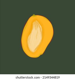 Cross Section View Mango Illustrated Digitally Stock Illustration ...