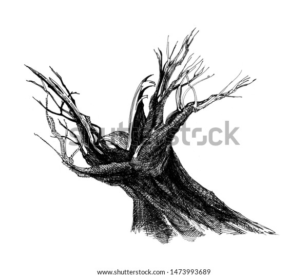 Cry Tree Broken Trunk Ink Drawing Stock Illustration 1473993689 ...