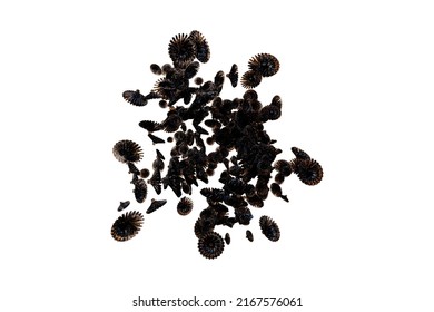 1,800 Soot brown Images, Stock Photos & Vectors | Shutterstock