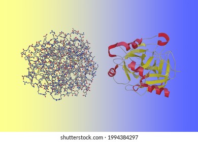 721 Coagulation factors Images, Stock Photos & Vectors | Shutterstock