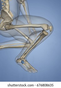 Cuboid Bone 3d Model Stock Illustration 676808635 | Shutterstock