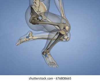 Talus Bone 3d Model 스톡 일러스트 672169204 | Shutterstock