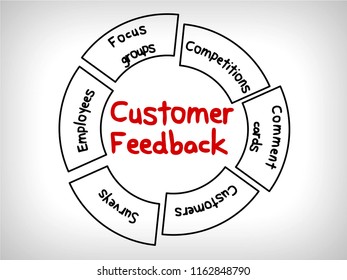 Customer Feedback Mind Maps Management Strategy Stock Illustration ...