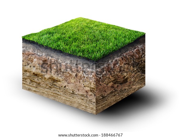 Cut Soil Grass Stock Illustration 188466767 | Shutterstock