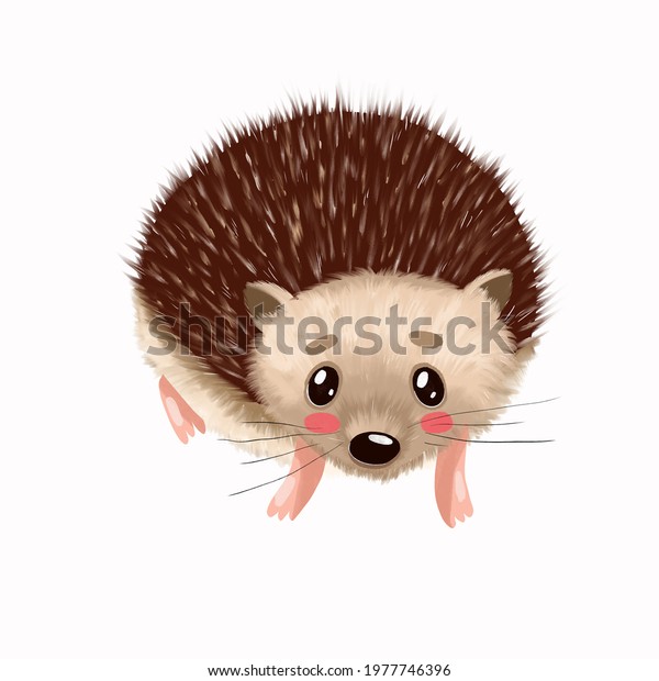 Cute Hedgehog Front View Looking Forward Stock Illustration 1977746396 ...