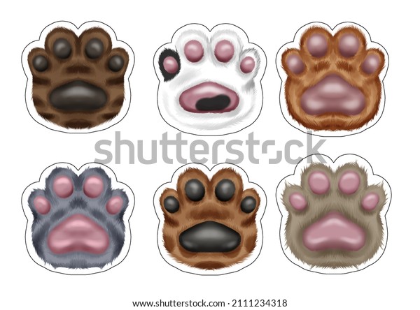 Cute Set Different Cat Paws Stickers Stock Illustration 2111234318 ...
