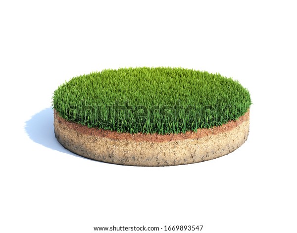 Cylindrical Cross Section Ground Grass Ecology Stock Illustration ...