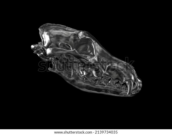 Dark Metal Wolf Skull Side View Stock Illustration 2139734035 ...