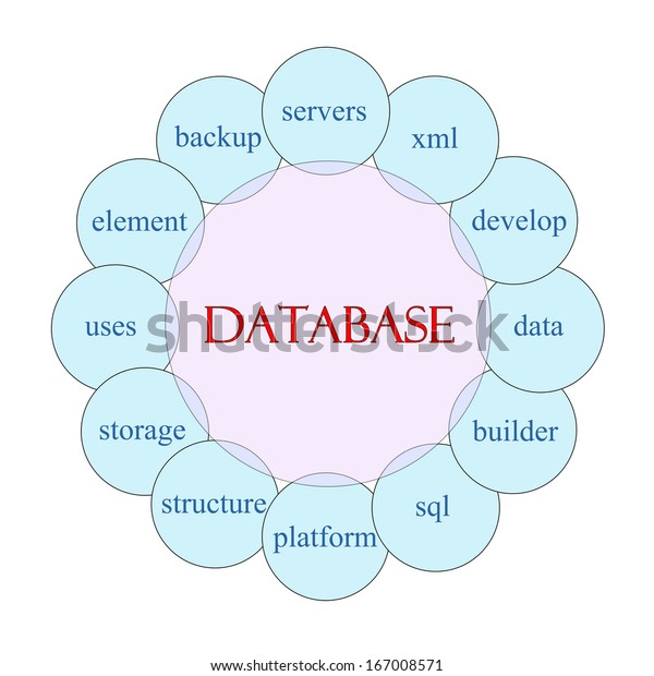 Database Concept Circular Diagram Pink Blue Stock Illustration ...