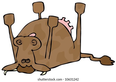 16,129 Dead Cow Images, Stock Photos & Vectors | Shutterstock