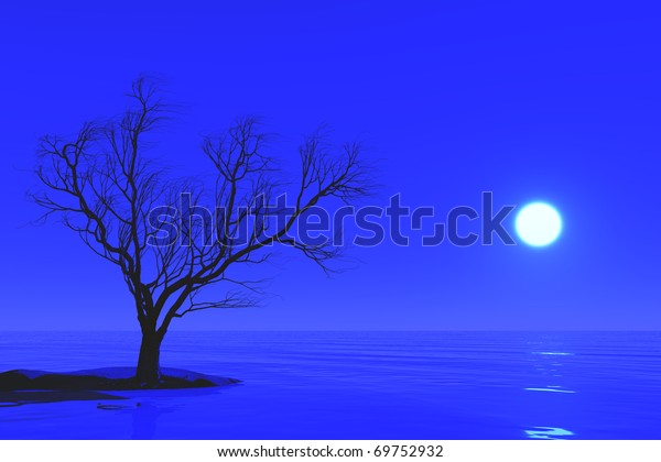 Dead Tree Sunset Beach Stock Illustration 69752932 | Shutterstock