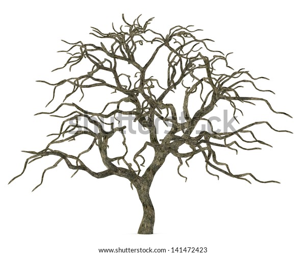 Dead Tree Without Leaves Isolated Acer Stock Illustration 141472423 ...