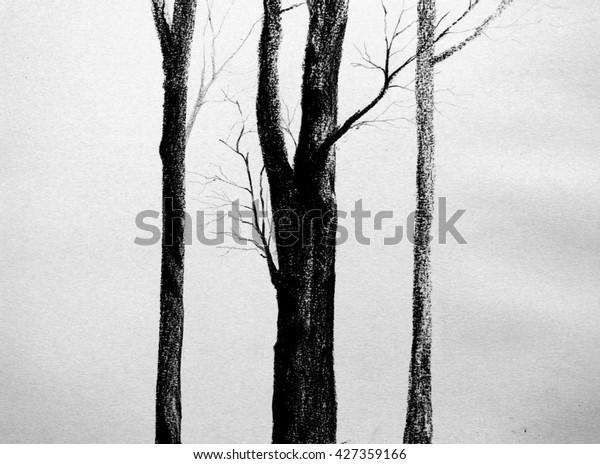 Deciduous Trees Drawing Stock Illustration 427359166 | Shutterstock