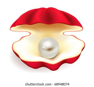 Decorative Pearl Shell Mesh: เวกเตอร์สต็อก (ปลอดค่าลิขสิทธิ์) 43848211 ...